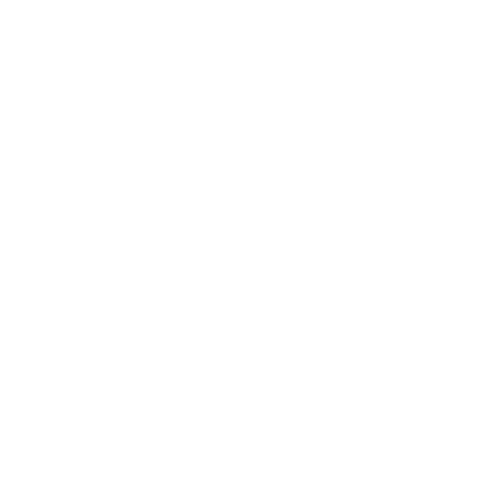 Lake Life Studio